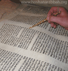 Hoshana Rabbah — Parshiot